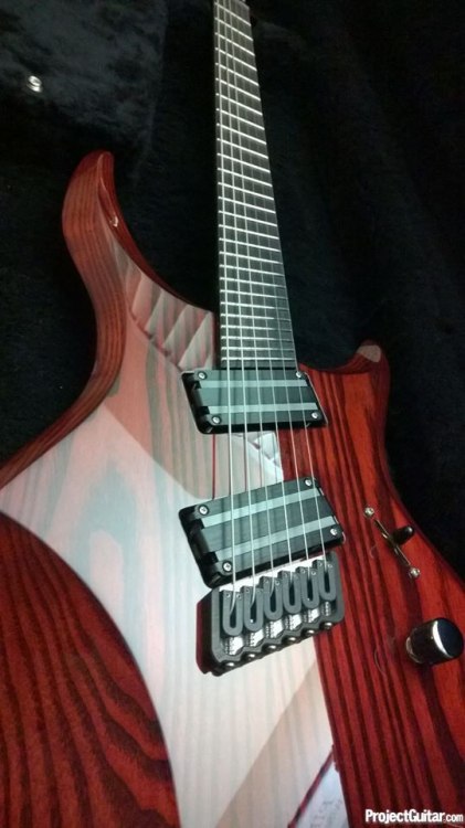 January 2015 - Guitar Of The Month - ProjectGuitar.com