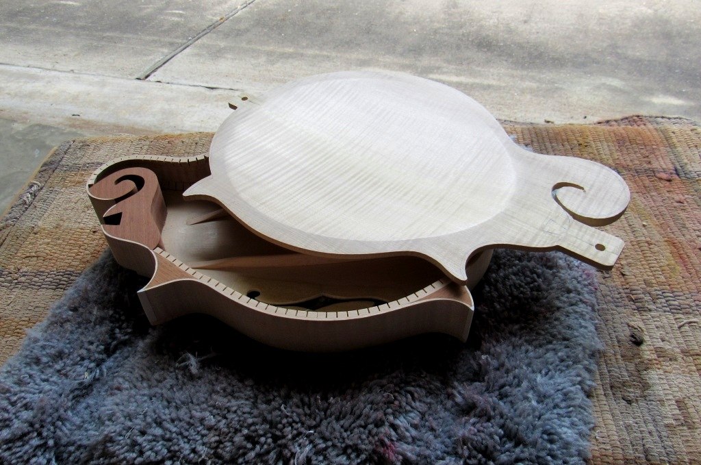 Sarah's Mandolin - Page 4 - In Progress and Finished Work ...