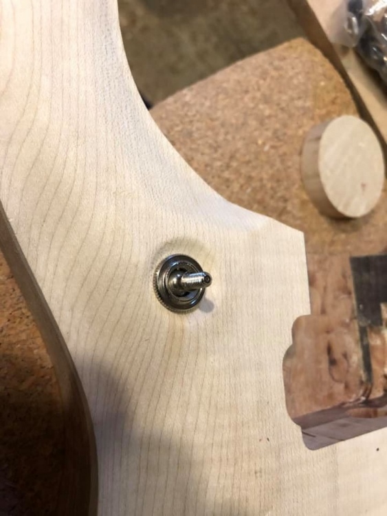 F Hole Templates - Tools and Shop Chat - ProjectGuitar.com