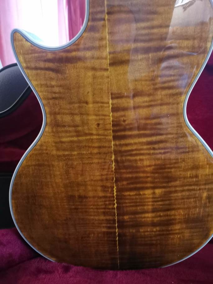 Chibson Without Back-Plates - Solidbody Guitar and Bass Chat ...